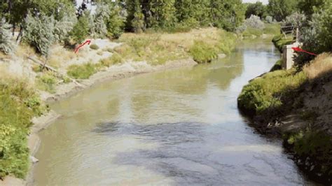 Hands Ejaculation Flood Gif Visualfopt