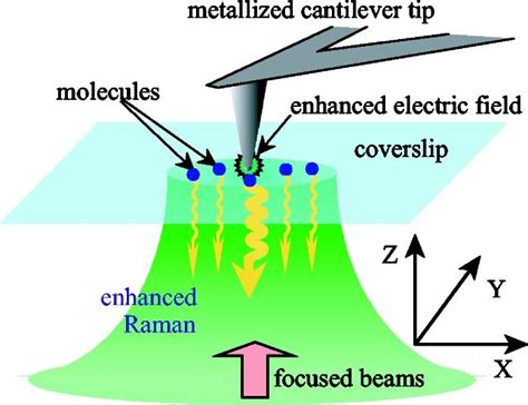 Concept Of Tip Enhanced Raman Spectroscopy Download Scientific Diagram