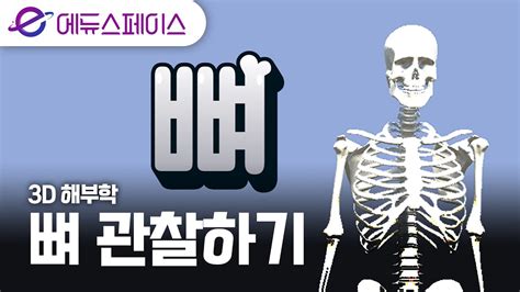 부산과학관 전시 뼈 관찰 해부학 콘텐츠 맛보기 에듀스페이스 Youtube