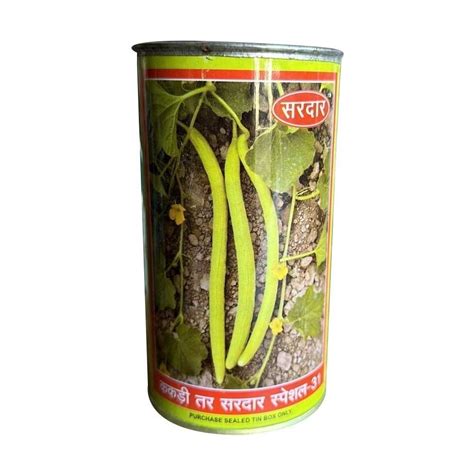 Natural White Sardar Tar Kakdi Seeds Packaging Type Tin Packaging