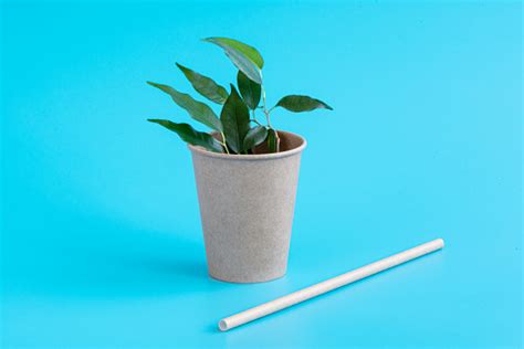 제로 폐기물 및 플라스틱 무료 개념 친환경 일회용 종이 컵 녹색 잎 파란색 배경에 종이 빨대 지구의 날에 대한 스톡 사진 및 기타 이미지 Istock