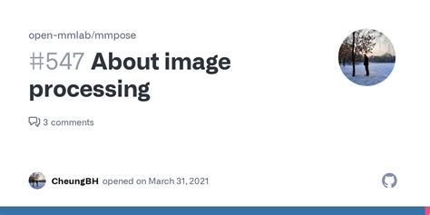 About Image Processing Issue Open Mmlab Mmpose GitHub