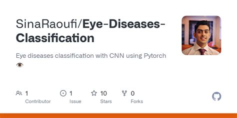 Github Sinaraoufieye Diseases Classification Eye Diseases