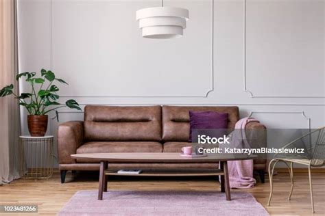 갈색 가죽 소파 바이올렛 쿠션와 파스텔 핑크 담요 Monstera Deliciosa 공장 빛 회색 거실 인테리어에 서 서 벽 및 커피 테이블에 성형의 실제 사진 가죽에 대한