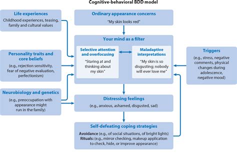 Underlying Body Dysmorphic Disorder In Patients With Zoom Dysmorphia