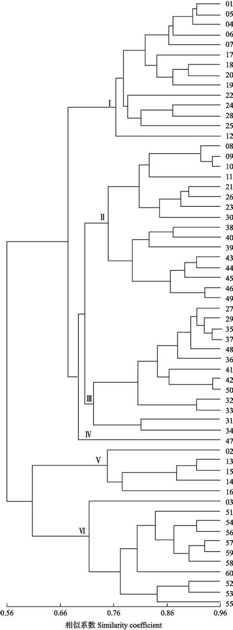 摇 Upgma Clustering Dendrogam Based On Genetic Similari鄄 Ty Between The