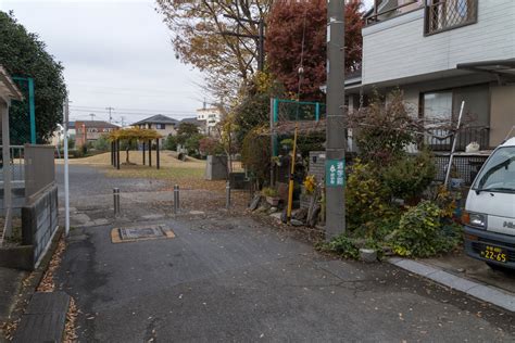 京王線猫行脚7下高井戸桜上水 一日一猫