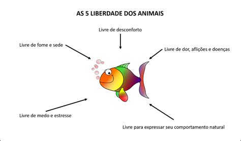 As 5 Liberdades Dos Animais Aplicadas Nos Lagos Ornamentais