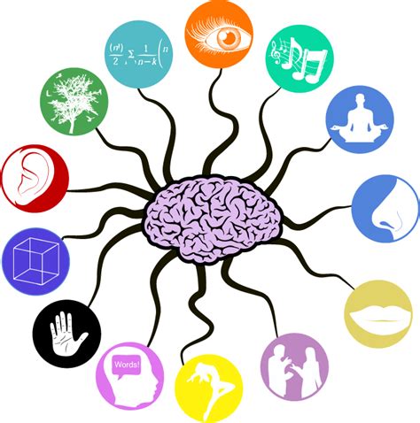 Self Observation Alters Perception