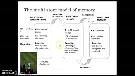 AS PE Multi Store Model Of Memory YouTube