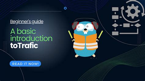 A Basic Introduction To Traefik 1 What Is Traefik By Itgix Ltd