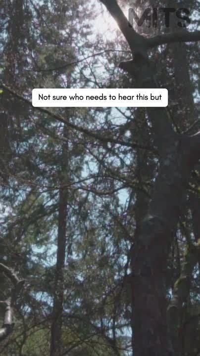 Mits Solution On Linkedin Mitssolution Staffing Staffingservices Outsourcestaffing