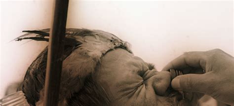 Dirty Scanner Optics