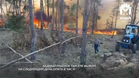 14 тысяч гектаров уже сгорело Директор Голопристанского лесоохотничьего хозяйства заявил что