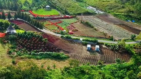 Sapo Juma Keindahan Eksotis Di Puncak Perbukitan Tongging Sumatera Utara