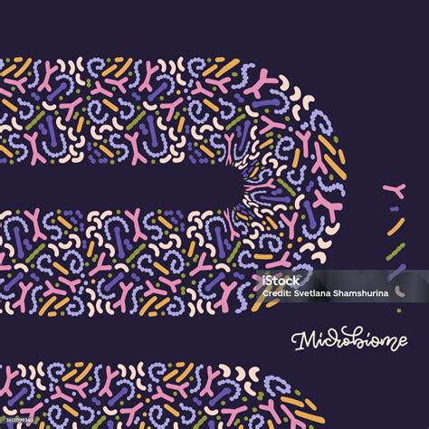 Microbiome Abstarct 배너 디자인 프로바이오틱스 개념 유산균 장 장내 세균 건강을위한 좋은 미생물 미생물 벡터 플랫 벡터 일러스트레이션 창자에 대한 스톡 벡터