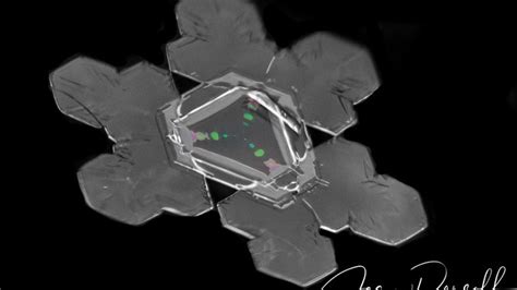 A 12 Sided Snowflake Colorado Photographer Captures Unusual Snowflake Formation Fox Weather