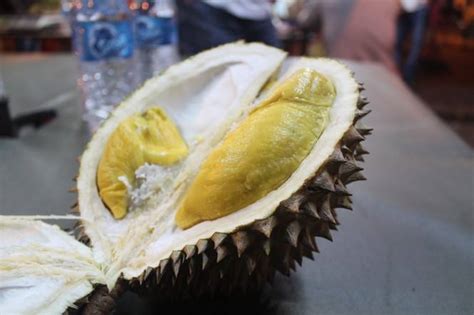 榴莲包扎的花束图片 榴莲花束 榴莲花 大山谷图库