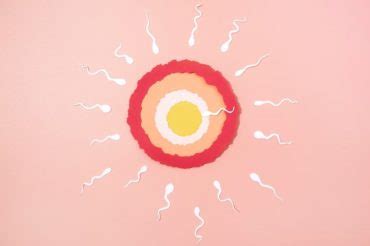 Decoding Normal Sperm Count And Its Crucial Role In Conception