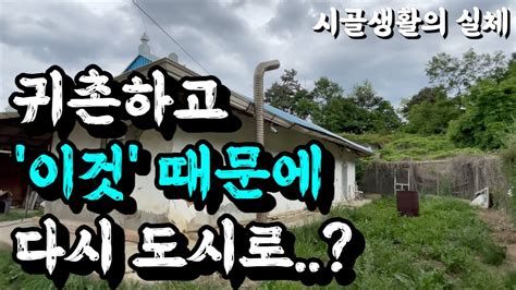 귀촌하면 여유롭기만 할까요 시골생활의 현실 중 하나를 보여드리죠 Youtube