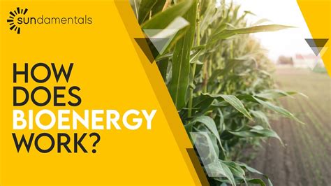 Powering The Future Unleashing The Potential Of Bioenergy Giga Paper