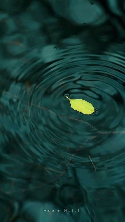 کوروش یغمایی Youtube