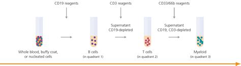 Fully Automated High Purity Cell Isolation For Chimerism Labs STEMCELL Technologies