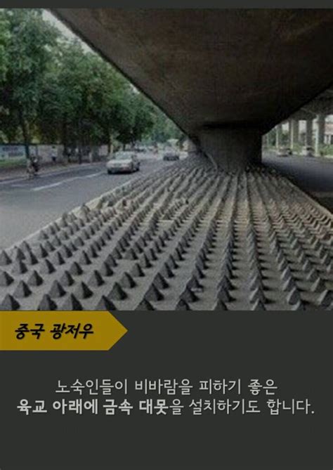 공원벤치 팔걸이가 있는 이유 인스티즈instiz 이슈 카테고리