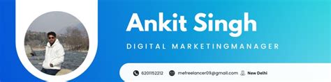 ankit singh program advisor digital marketer seo expert