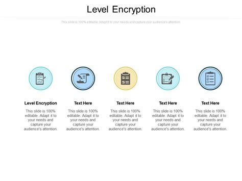 Level Encryption Ppt Powerpoint Presentation Ideas Graphics Download Cpb Presentation Graphics
