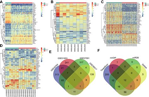 Comprehensive Microarray Analysis Identifies That Exosomal Mir 101 3p