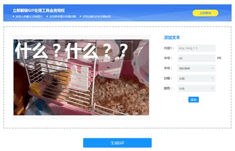 怎么样在动态图片上添加文字？一招教你快速完成加字 中文网