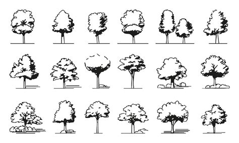 Black And White Tree Sketches Collection Landscape Architecture And Urban Planning Design