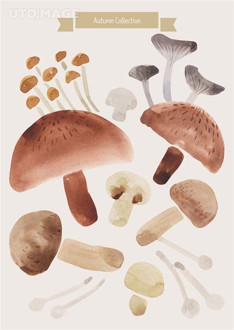 Watercolor Mushrooms And Spoons On A White Background