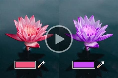 What S New In Coreldraw Graphics Suite Corel Discovery Center