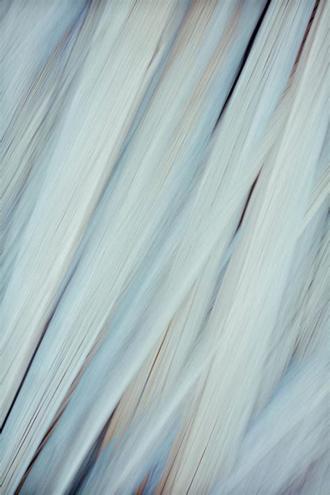 4k 바탕화면 가벼운 계층화 된 고요한 관념적인 교활한 그라데이션 높은 해상도 독창성 디자인 디지털 아트