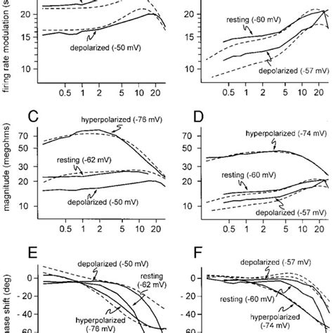 Spike Discharge Modulation Of A Resting And Depolarized Type B Neuron