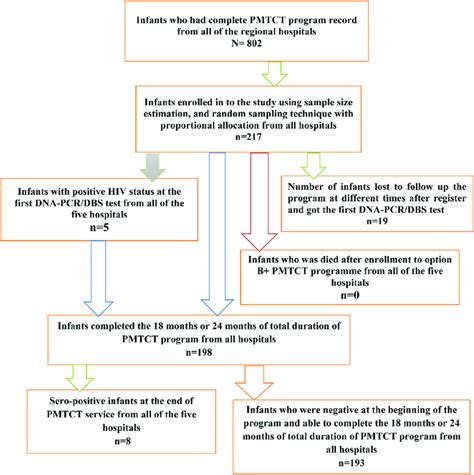 A Schematic Flow Diagram Of The Process Of Extracting Data From