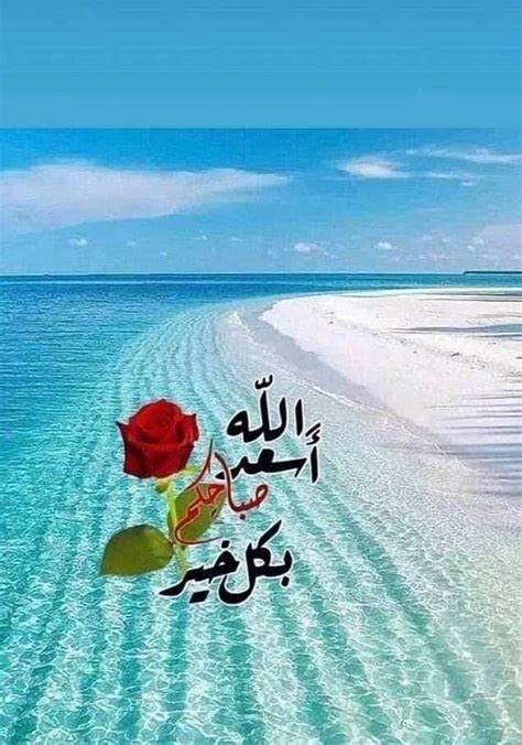 S Abdelhadi Posted On Linkedin S Abdelhadi Posted On Linkedin