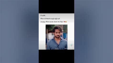 Srilanka Automobile Lankan Wadan Rap India Sl Pakistan Edit