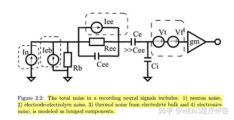 神经信号基础研究 神经噪声 一 知乎