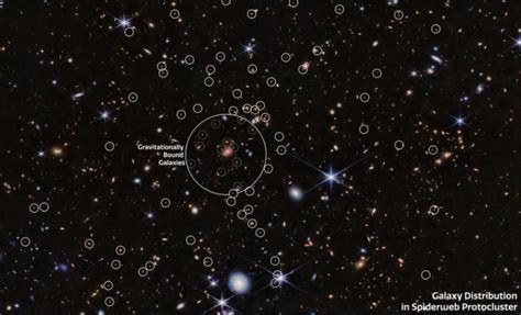 James Webb Space Telescope Discovers New Galaxies In The Spiderweb Protocluster