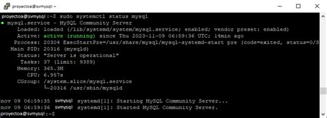 Instalar Mysql Server En Linux Ubuntu Server 22 Usuario Con Privilegios