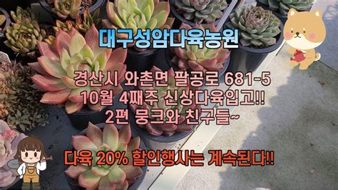 대구성암다육농원 10월 4째주 신상다육입고 2편 뭉크와 친구들~ Youtube