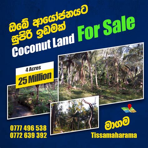 Wattam Lk Kelaniya
