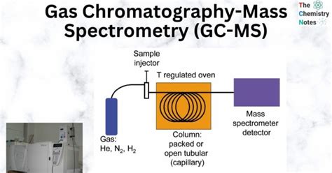 Gas Chromatography Mass Spectrometry Gc Ms
