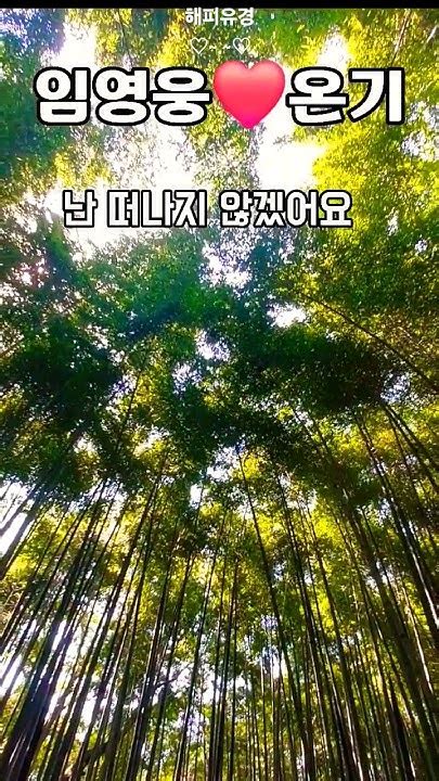 임영웅 온기 고창읍성 힐링여행 대나무숲 Shorts 임영웅신곡 Youtube
