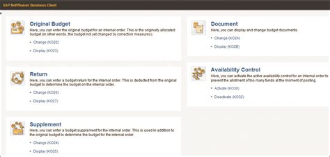 Investment Program Budgeting With Sap Co