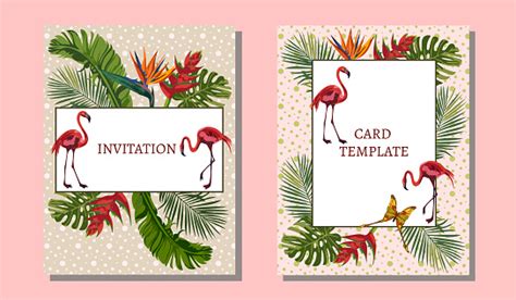 플라밍고와 열대 잎 배경 배너 전단지 초대장 포스터 웹 사이트 또는 인사말 카드에 대한 이국적인 꽃 디자인인사 초대 카드 템플릿 디자인 벡터 일러스트레이션 0명에 대한 스톡