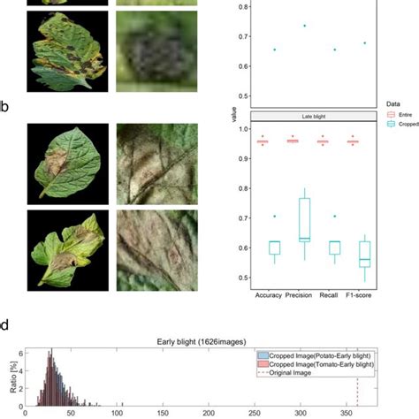 Diagram Of Disease Detection Model Using Cnn Model Download Scientific Diagram
